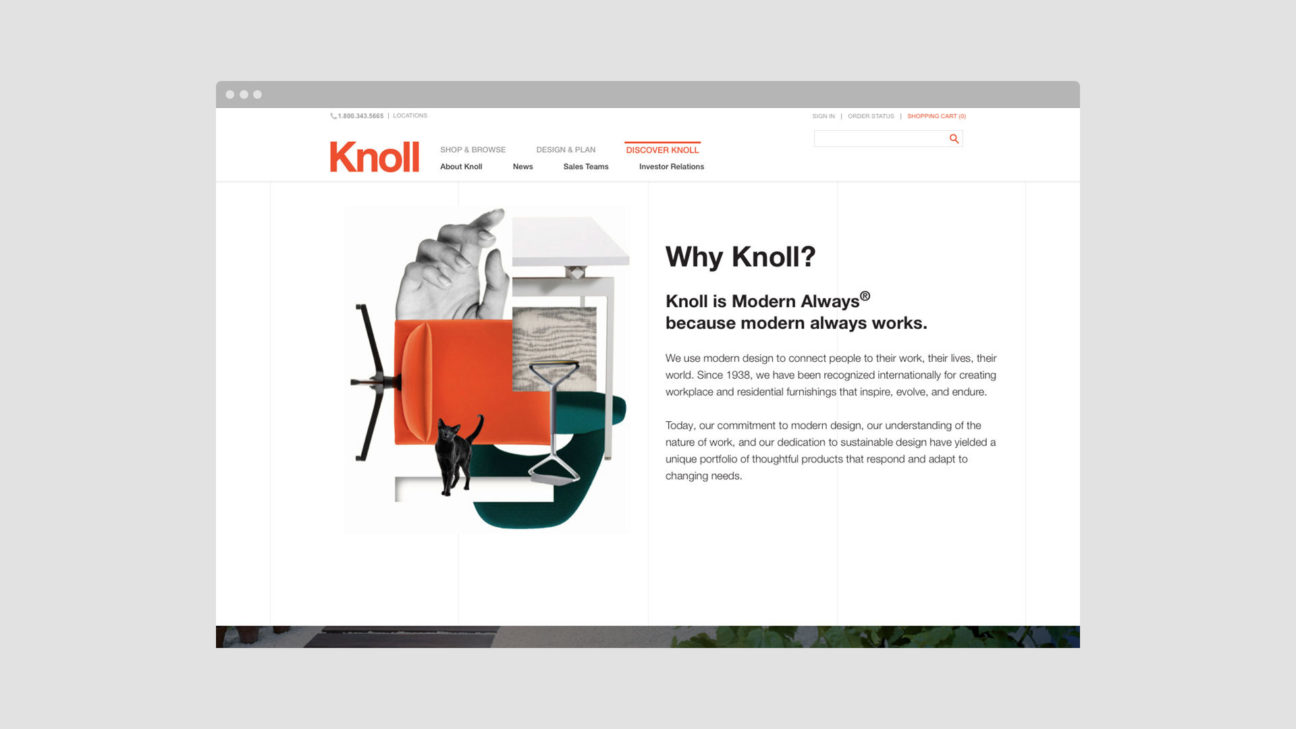 Knoll Story Pages - Schema